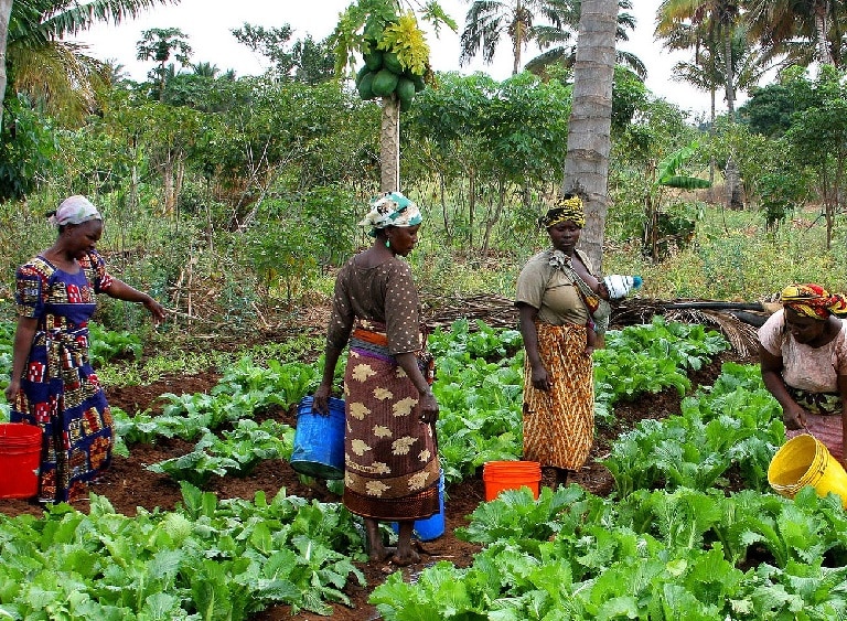 Home - Resource Africa