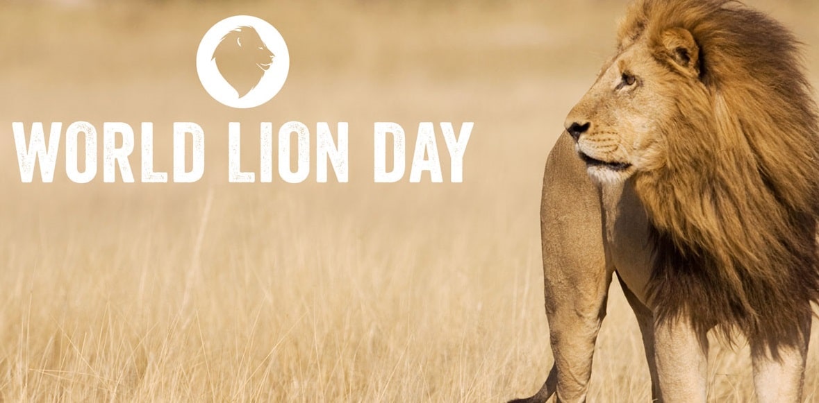 Home - Resource Africa